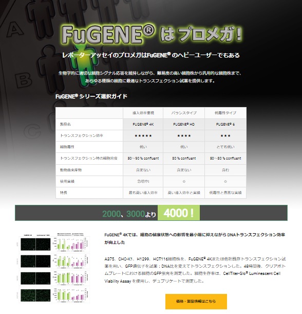 キャンペーン情報 – 株式会社山口薬品